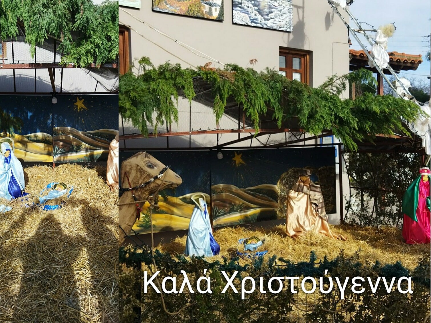Εγκάρδιες ευχές για Καλά Χριστούγεννα ! | Νέα 24 ώρες την ημέρα
